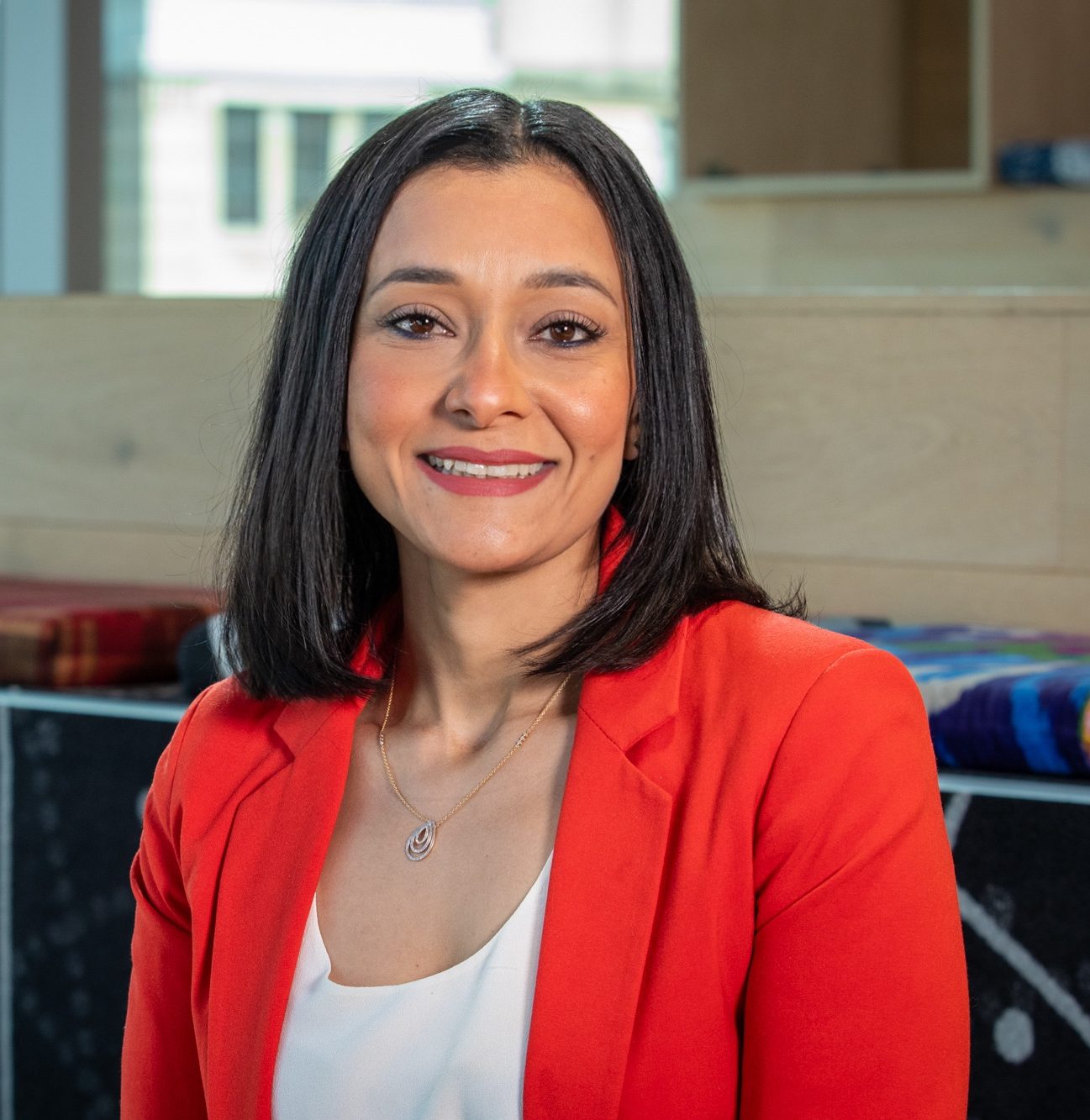 Executive Committee — ANZMAC